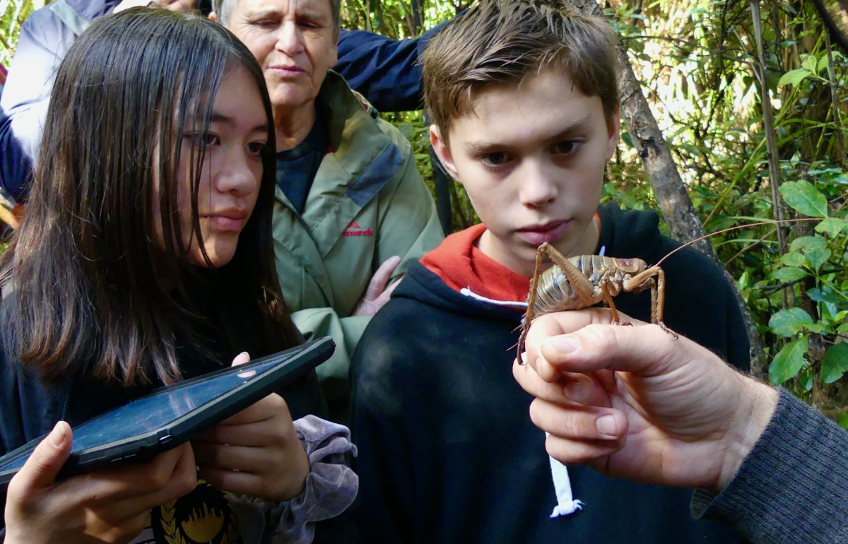 Publications - Project Island Song