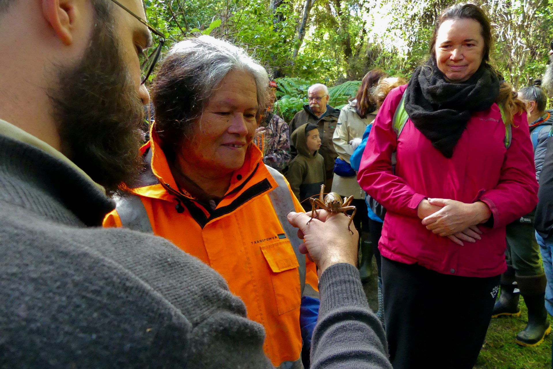 Contact - Project Island Song