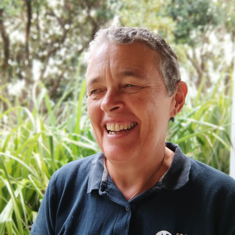 Meet the team - Project Island Song