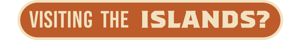 Project Island Song | Returning bird song to the Bay of Islands