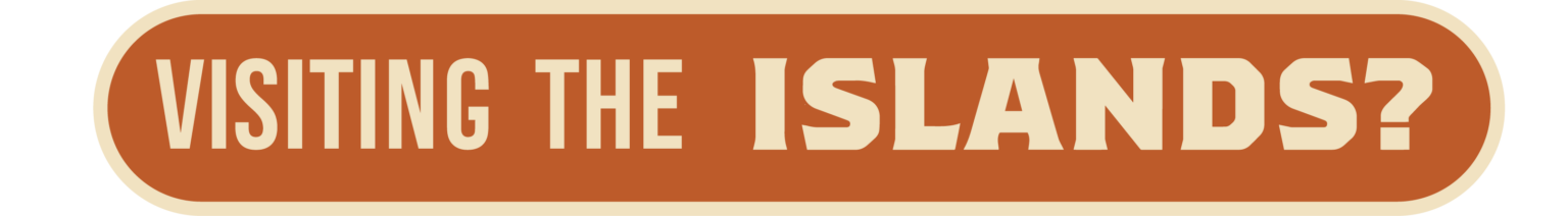 Project Island Song | Returning bird song to the Bay of Islands