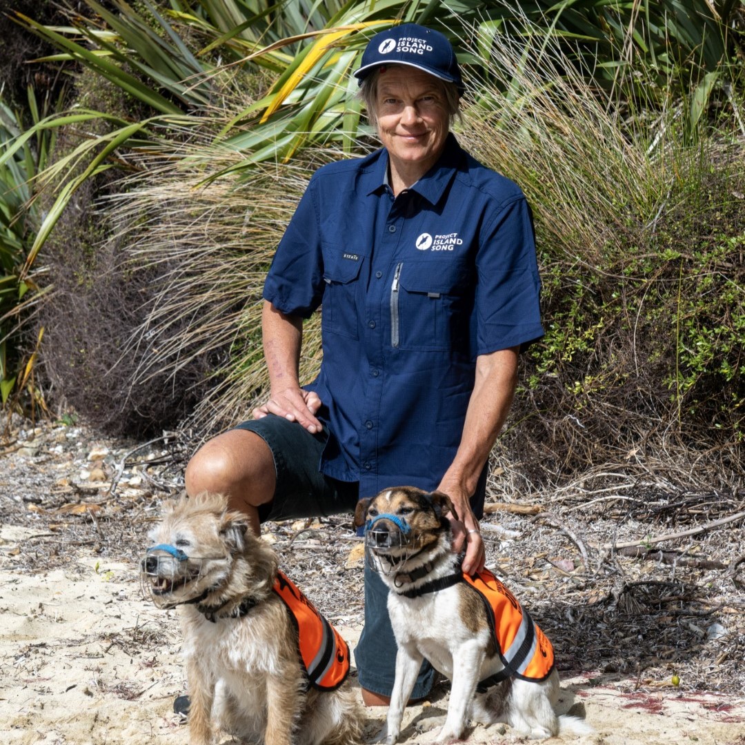 Meet the team - Project Island Song