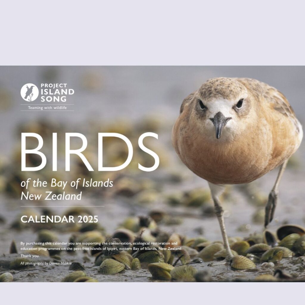 Shop - Project Island Song