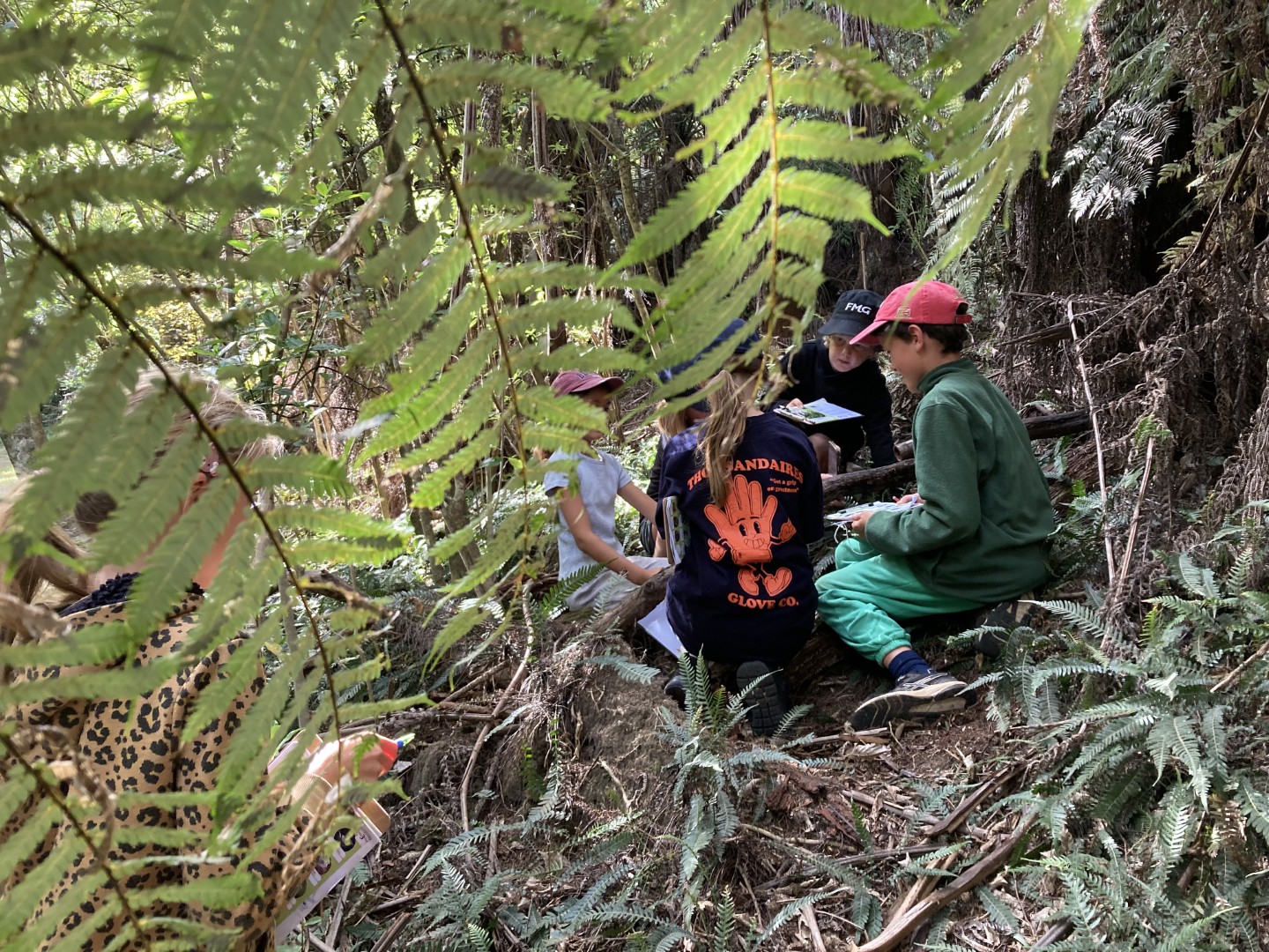 2025 Floating Classroom Photo Story - Project Island Song